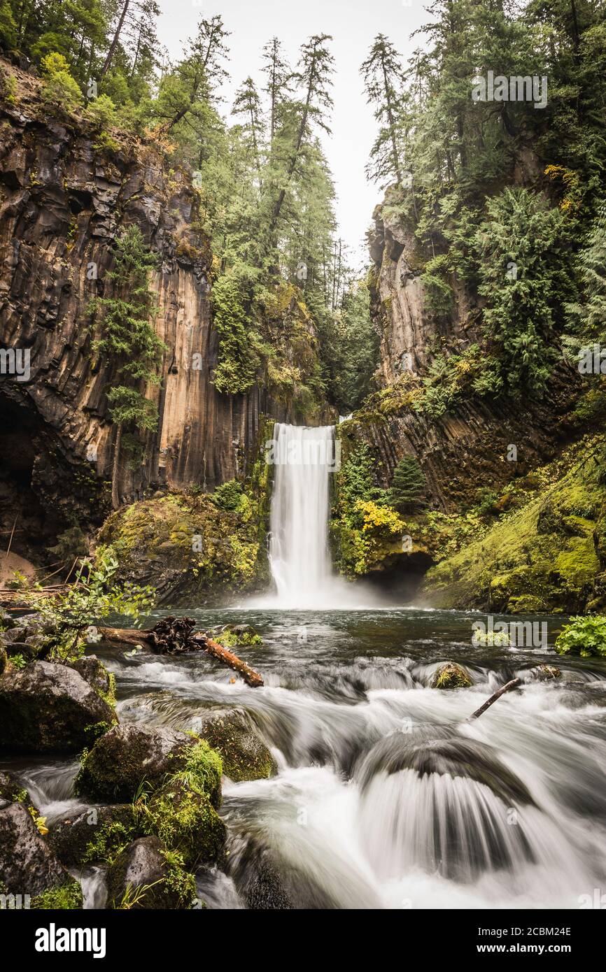 View of Toketee Falls; Umpqua National Forest, Oregon, USA Stock Photo ... View of Toketee Falls; Umpqua National Forest, Oregon, USA Stock Photo ...