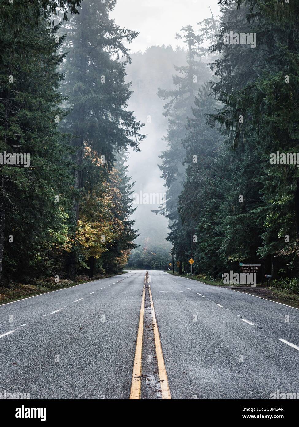 Umpqua National Forest highway and mist, Oregon, USA Stock Photo - Alamy