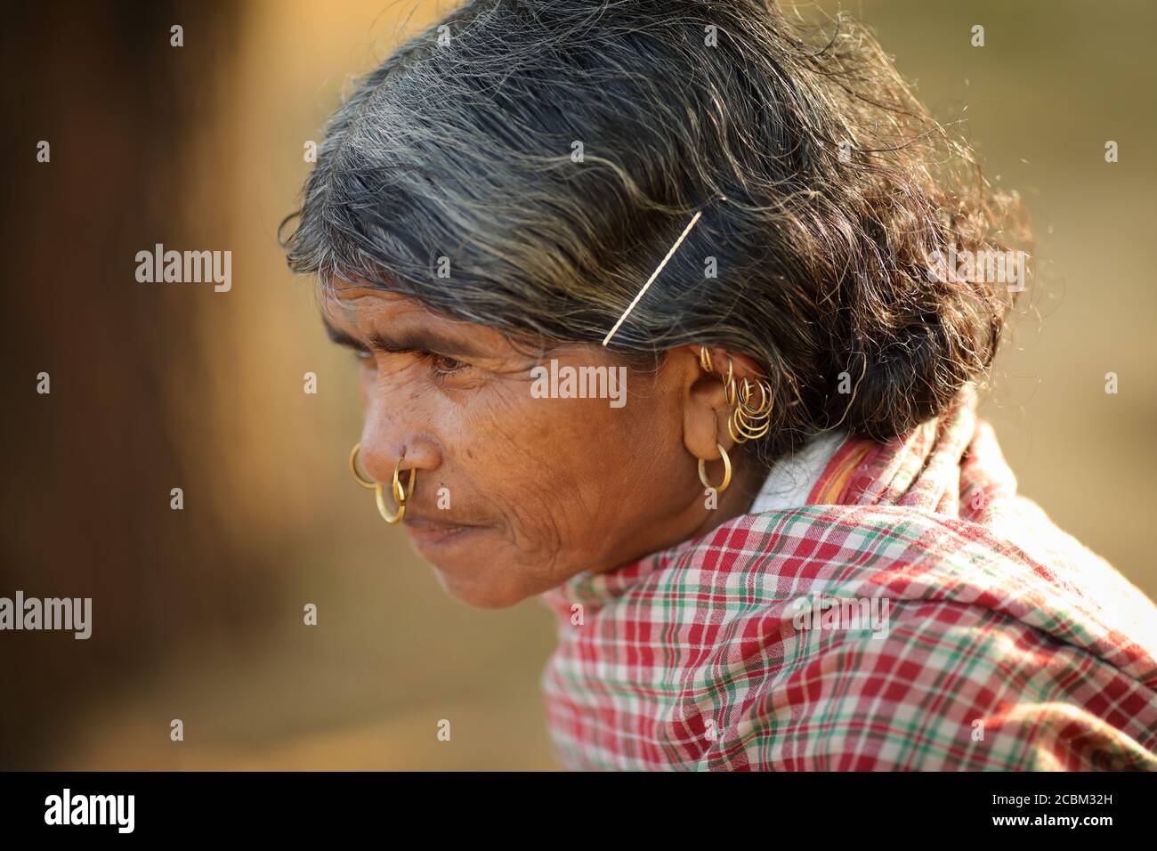 Adivasi hi-res stock photography and images - Alamy