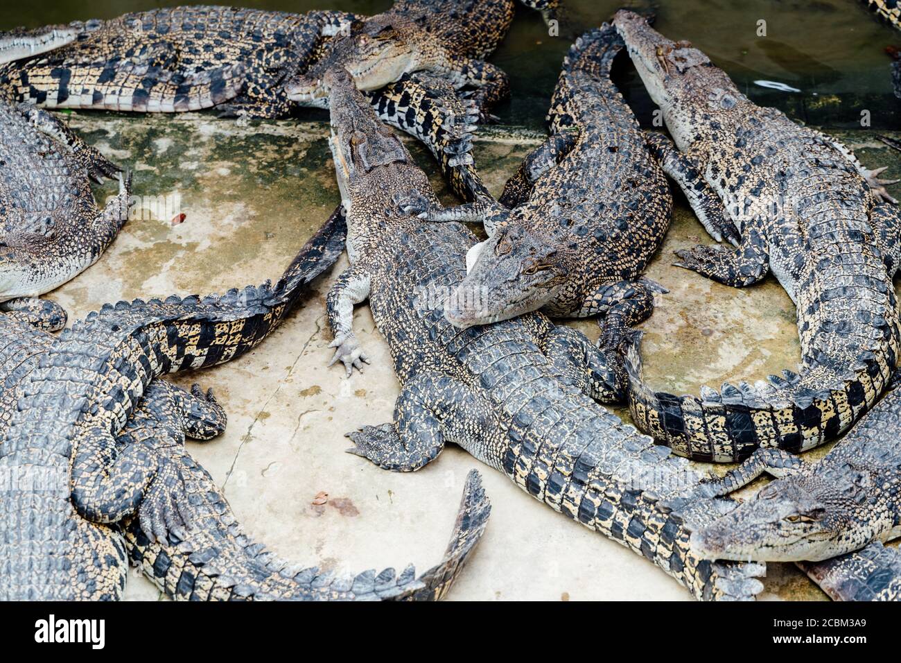Zoo nature reserve other hi-res stock photography and images - Alamy