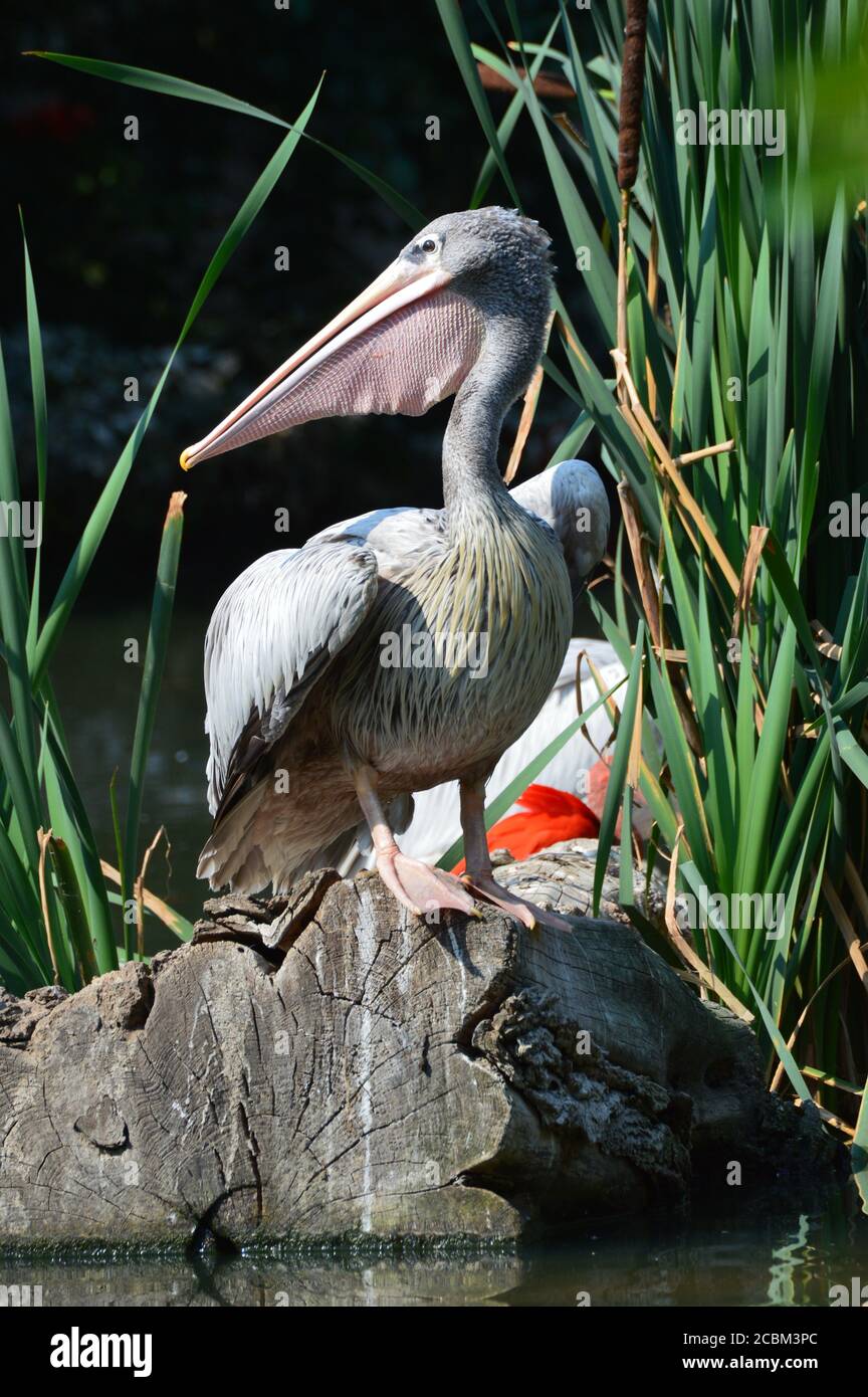Back bays and rivers hi-res stock photography and images - Alamy