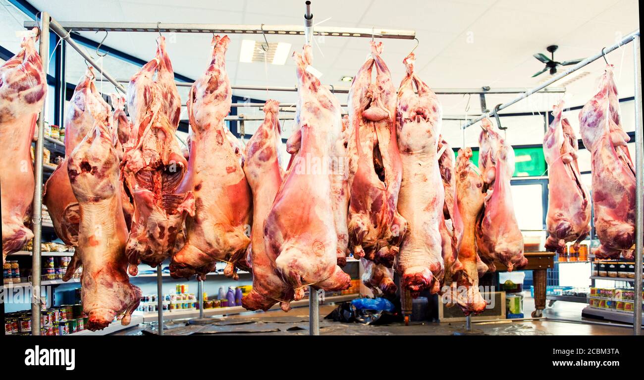 Slaughterhouse abattoir hi-res stock photography and images - Alamy