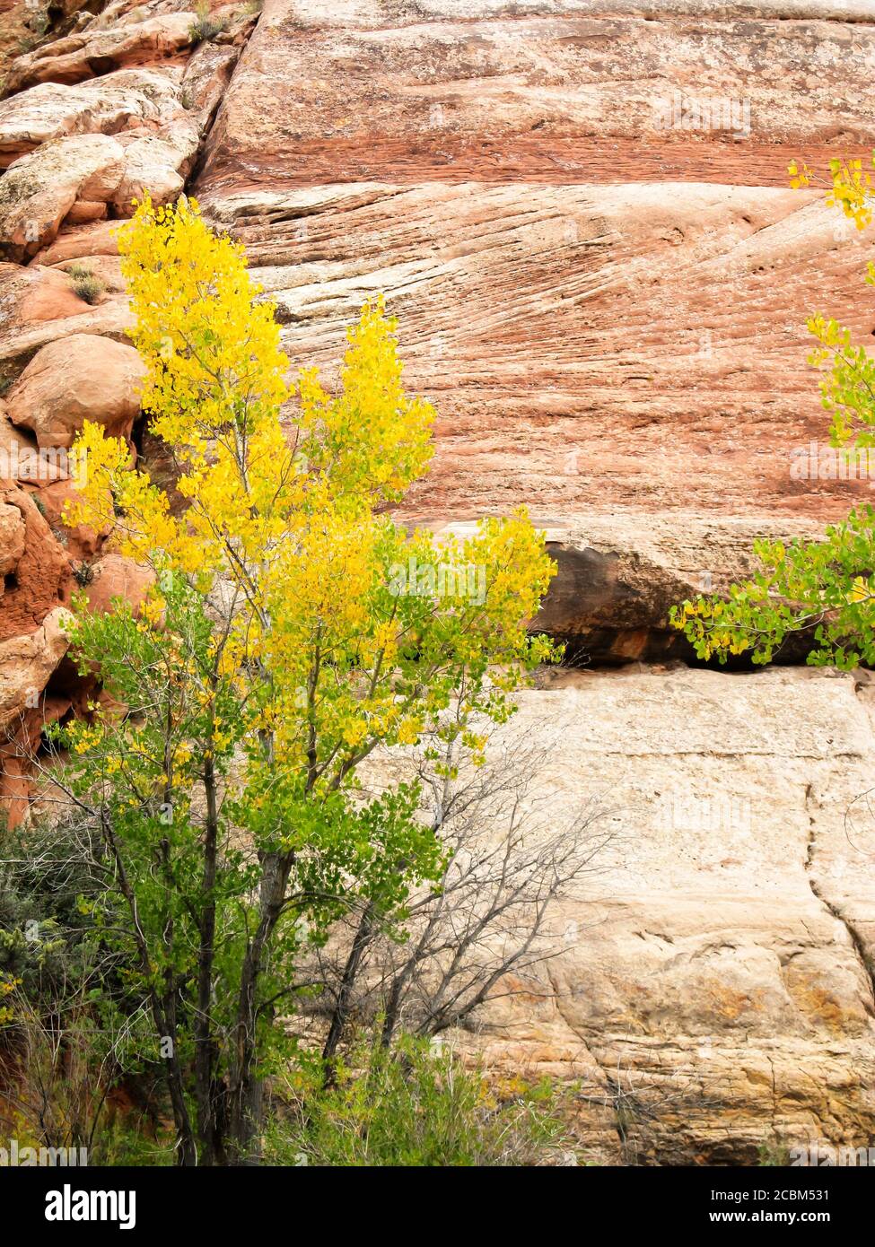 Buff colored sandstone hi-res stock photography and images - Alamy