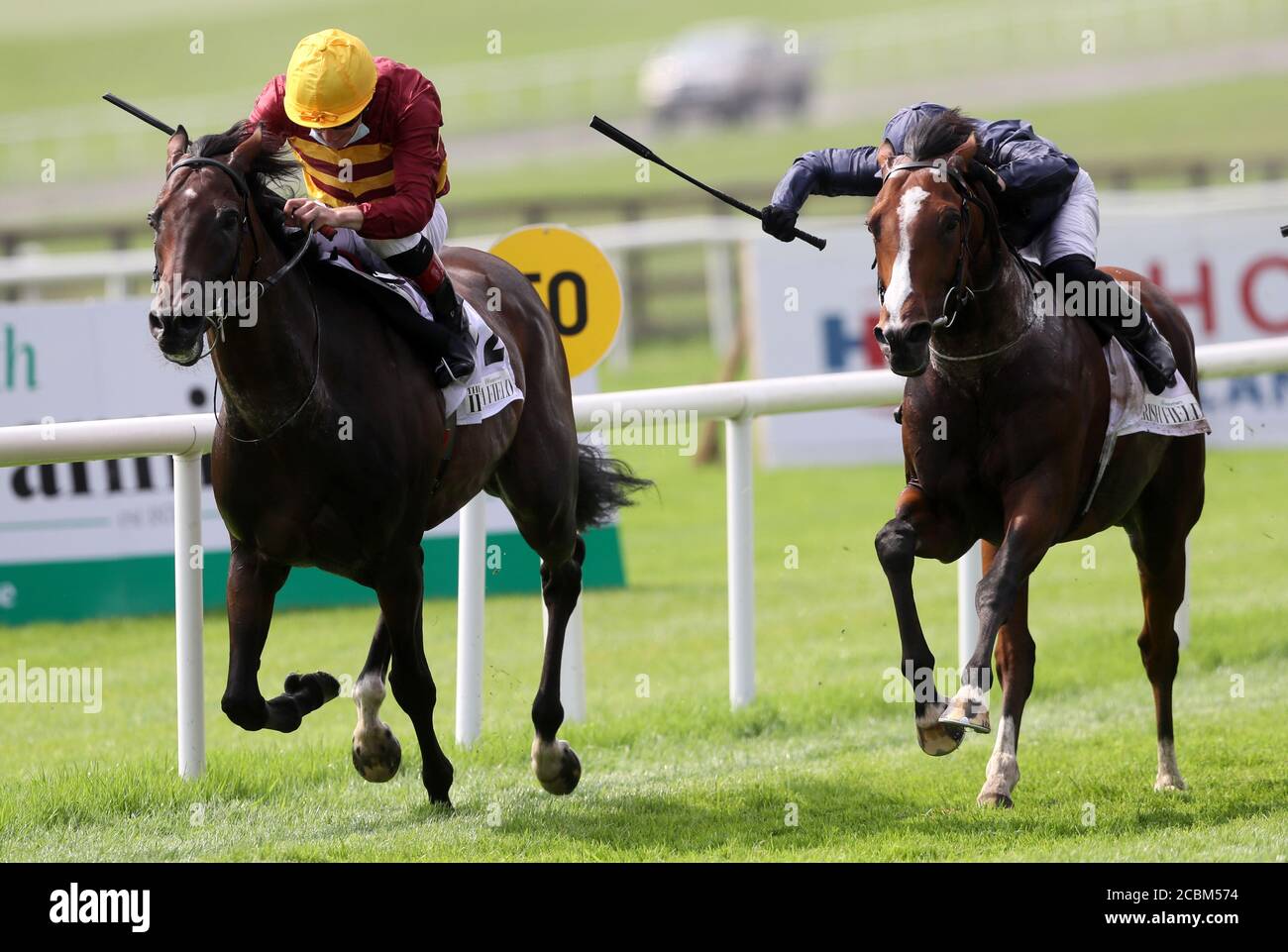 Win irish field celebrating 150 years royal whip curragh racecourse hi ...