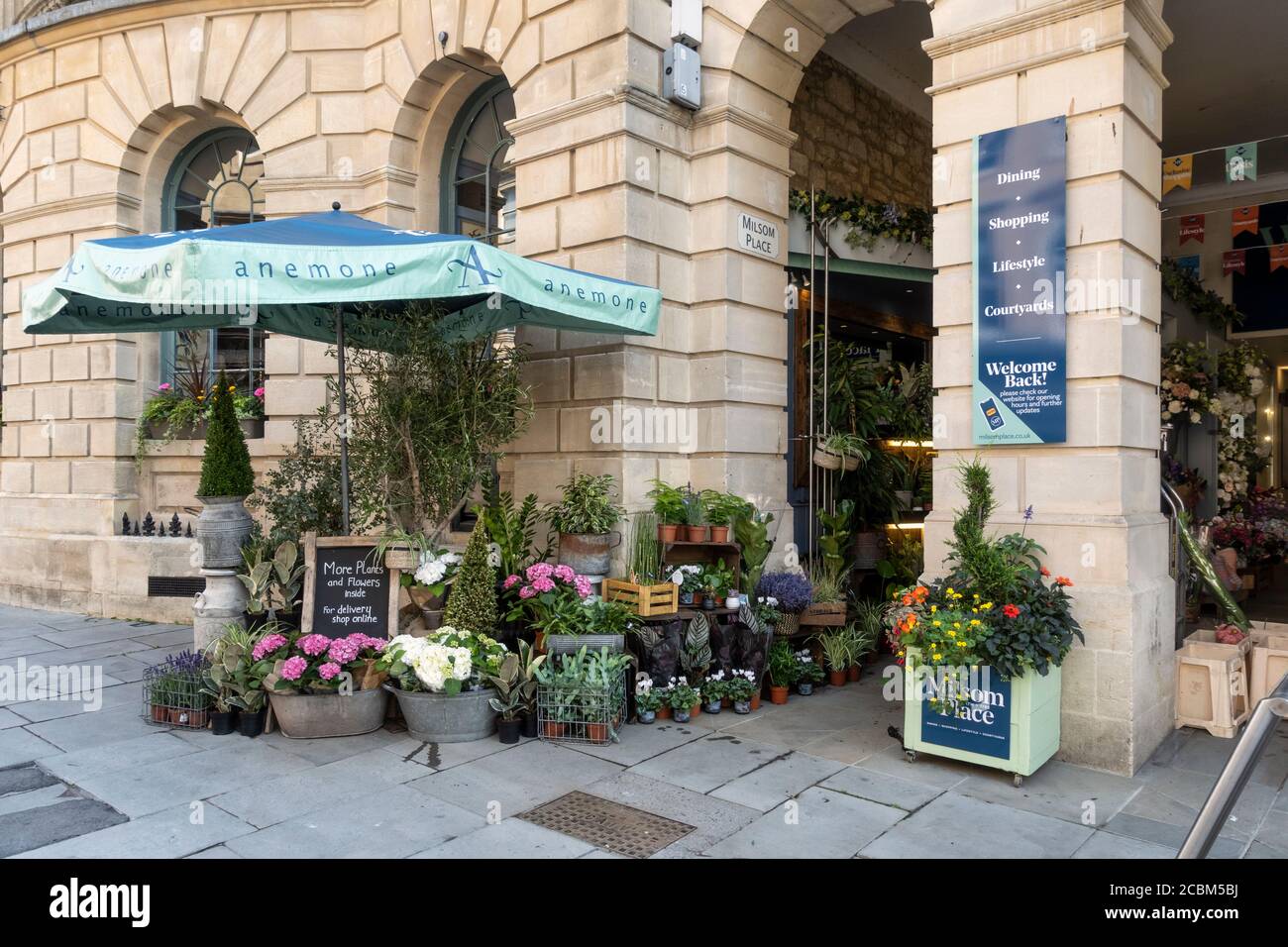 Anemone Bath florist, Milsom Place, Milsom Street, City of Bath ...