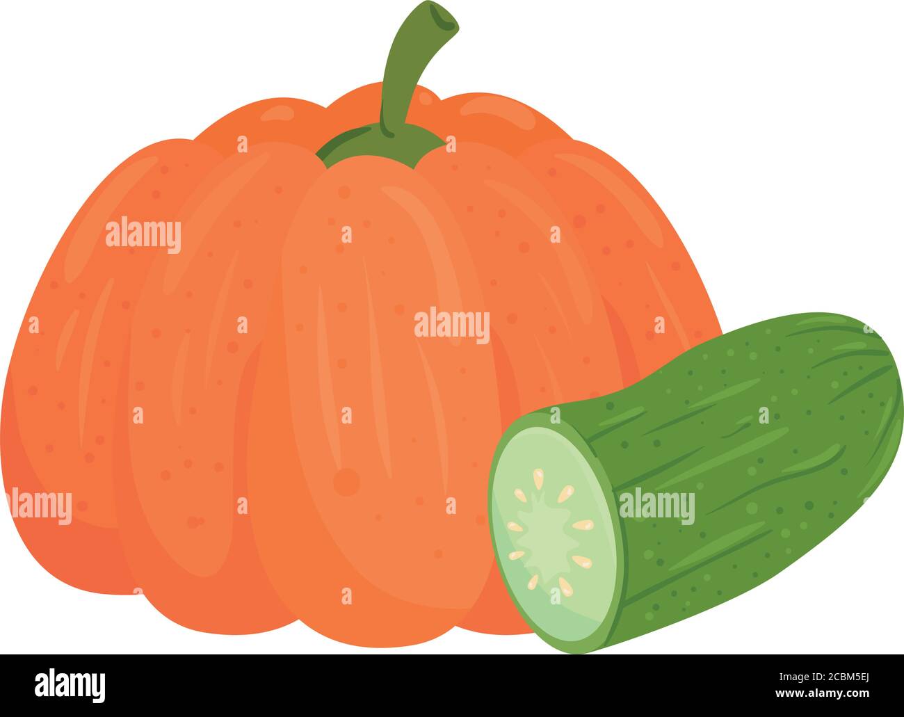 fresh vegetables, pumpkin with cucumber, in white background Stock ...