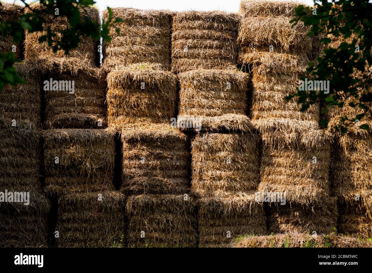 Hay Large bales -Round bales are harder to handle than square bales but ...