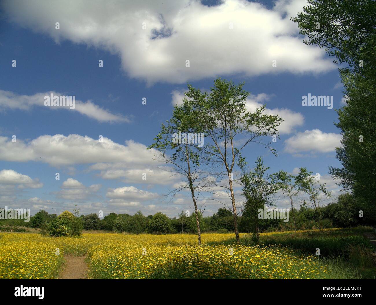 Warthill hi-res stock photography and images - Alamy