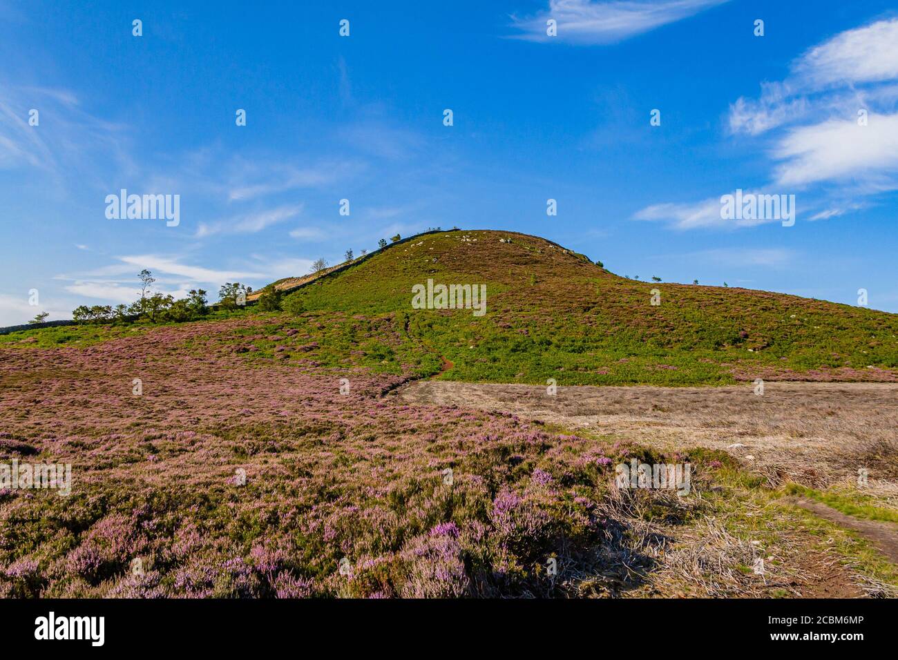 Ros Hill, site of the Iron Age hill fort Ros Castle, Chillingham ...