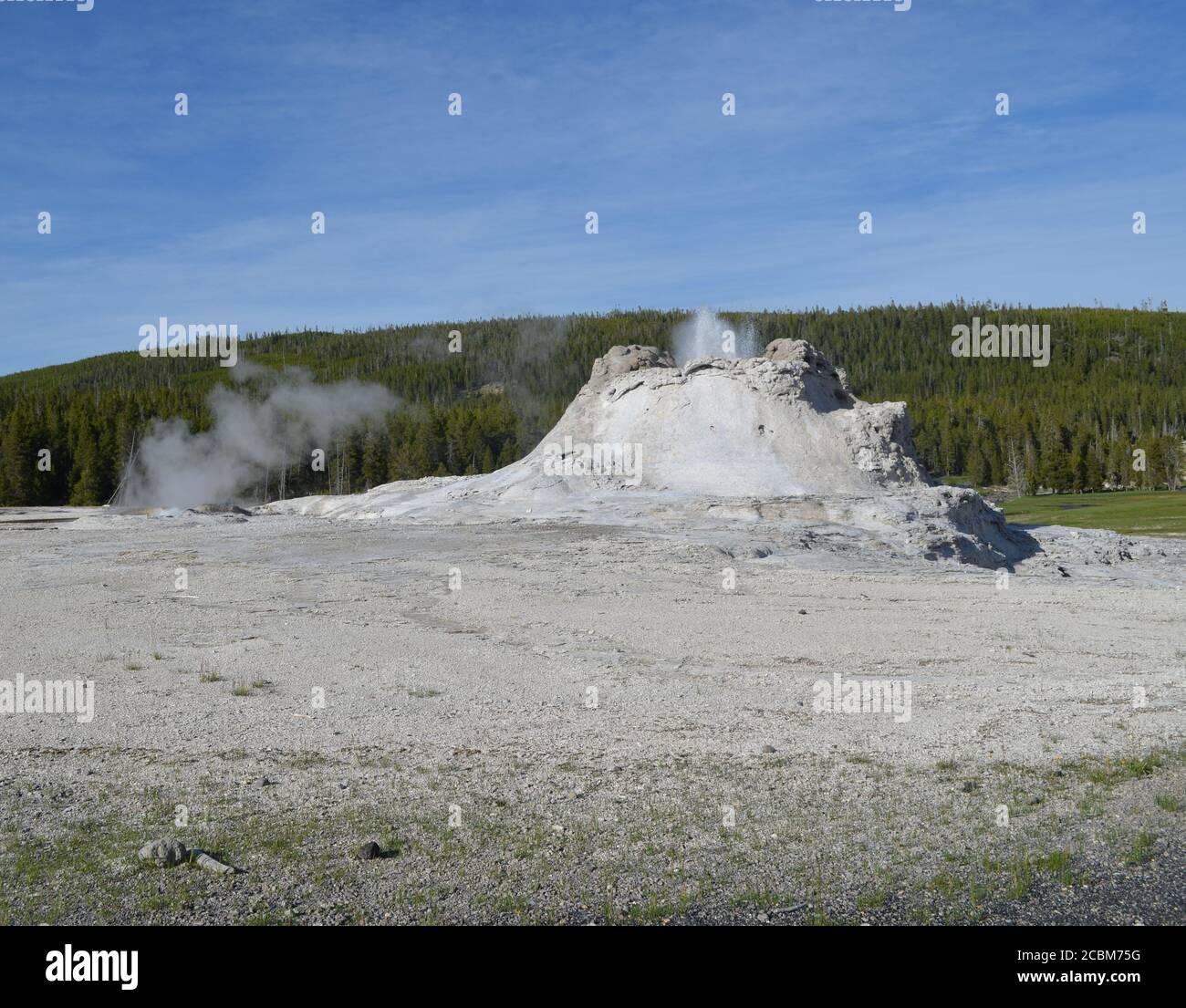 Late Spring in Yellowstone National Park: Castle Geyser Erupts as ...