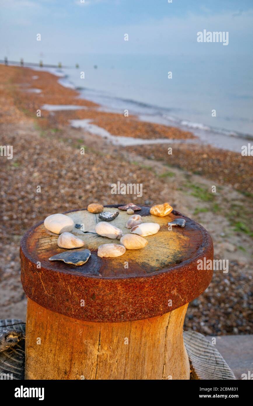 Coastal view in southern England in the evening with shells on a sea ...