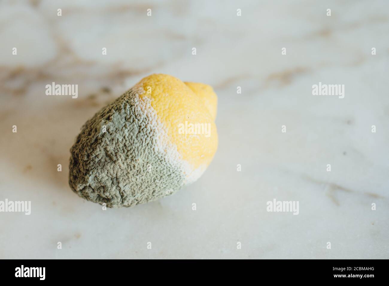 Mould on food penicillium hi-res stock photography and images - Alamy