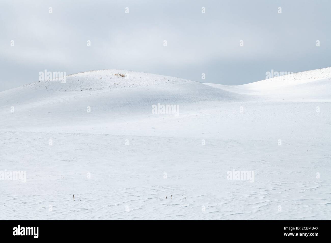 Winter Landscape in the Palouse, WA Stock Photo - Alamy