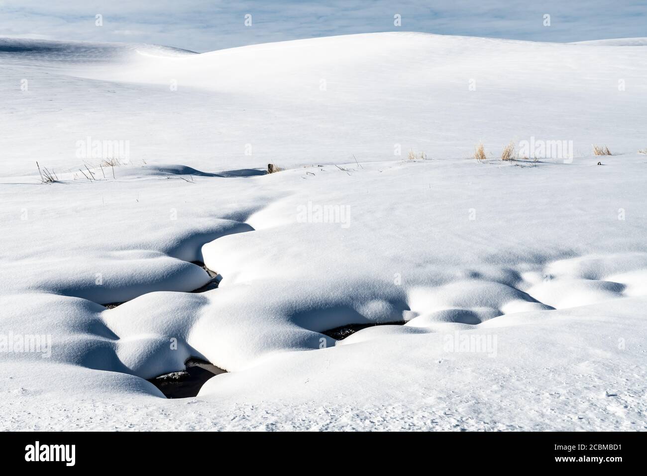 Winter Landscape in the Palouse, WA Stock Photo - Alamy