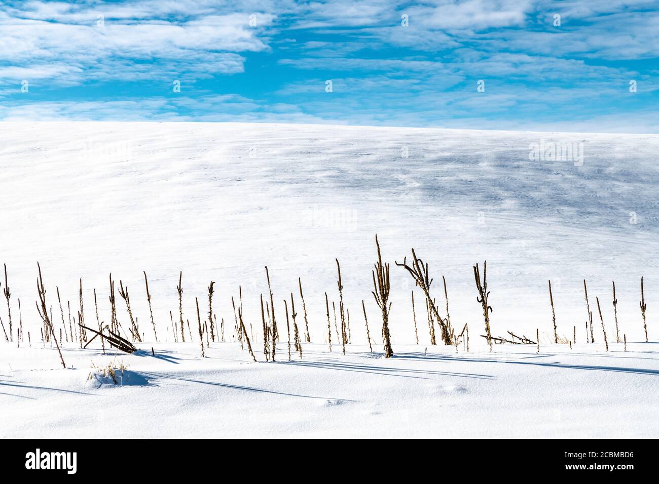 Winter Landscape in the Palouse, WA Stock Photo - Alamy
