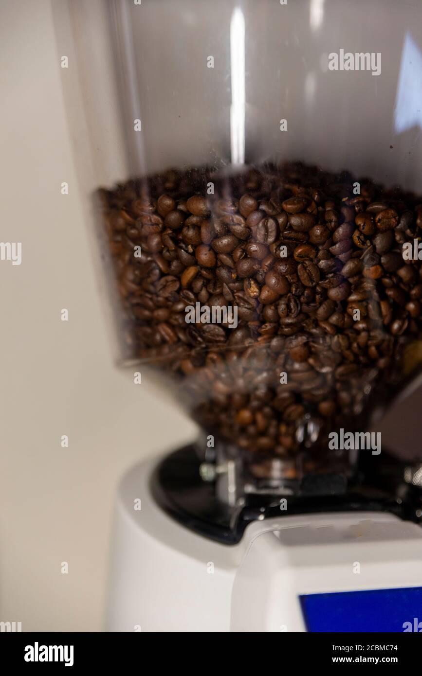 hopper for professional bar coffee with coffee beans inside Stock Photo ...