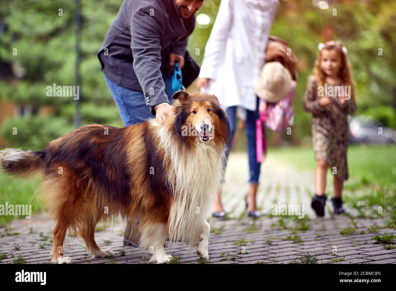 Family spending leisure time together in a park with shetland sheepdog ...