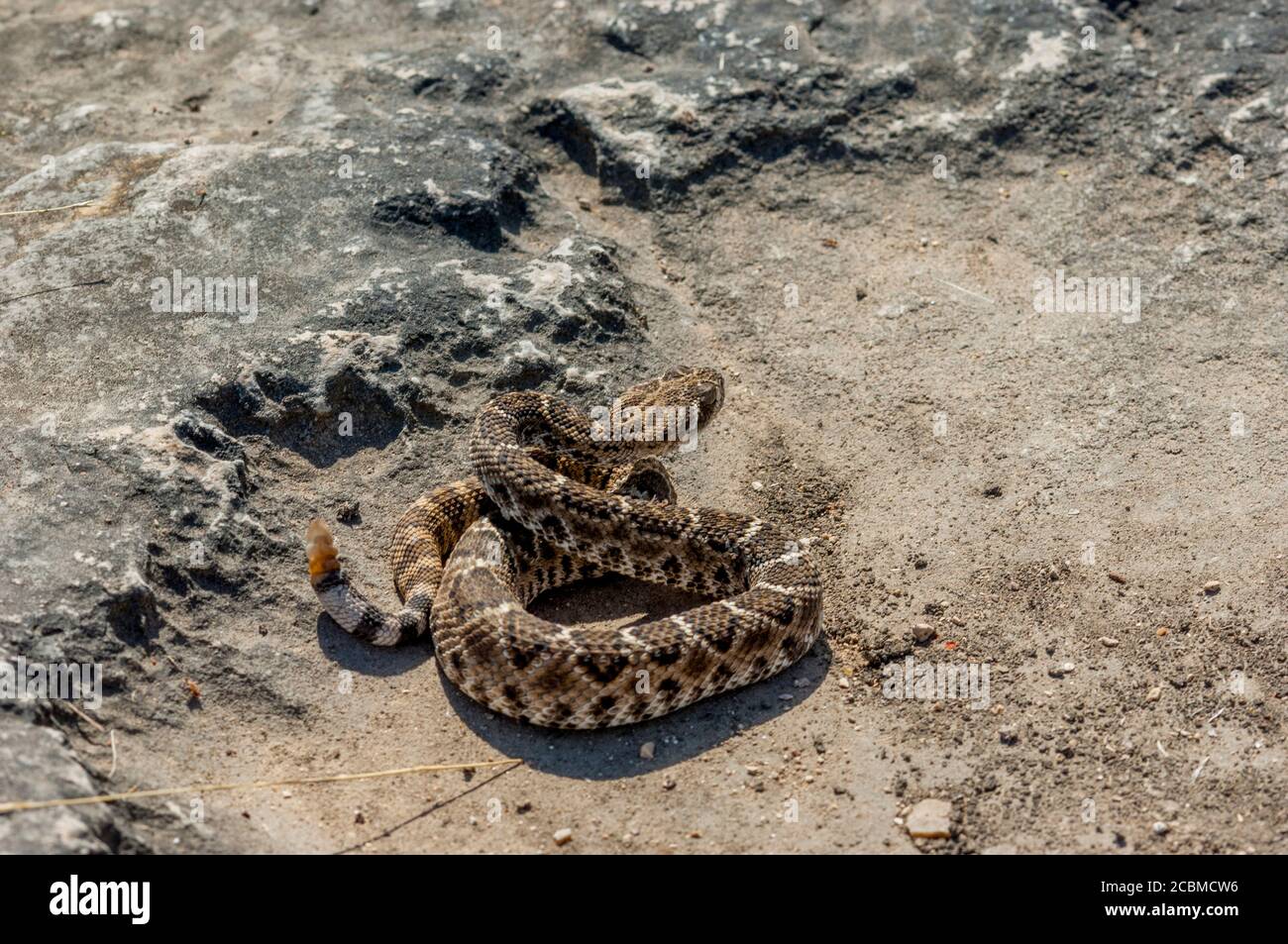 Rattlesnake ranch hi-res stock photography and images - Alamy