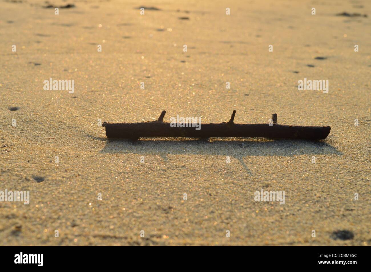 Wet sand acts as a natural exfoliant and peels off dead skin cells from ...