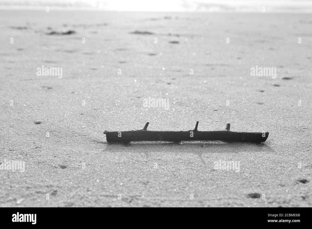 Wet sand acts as a natural exfoliant and peels off dead skin cells from ...