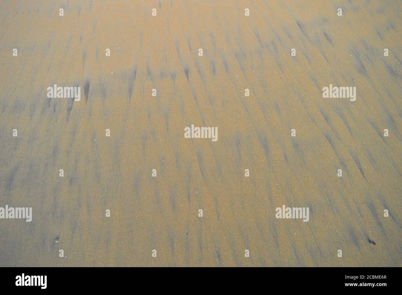 Wet sand acts as a natural exfoliant and peels off dead skin cells from ...