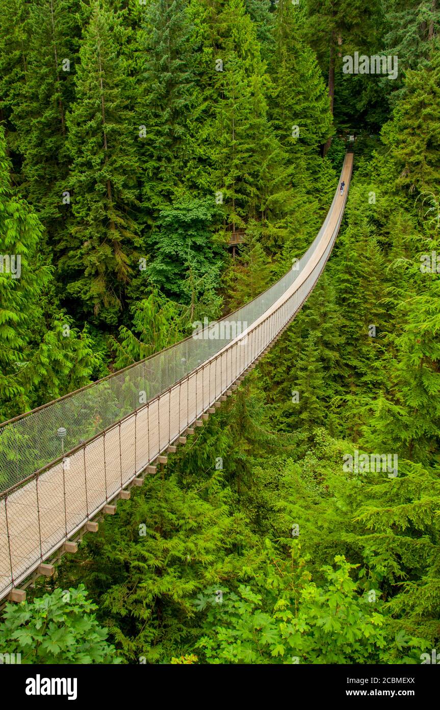 The Capilano Suspension Bridge is a suspension bridge crossing the ...