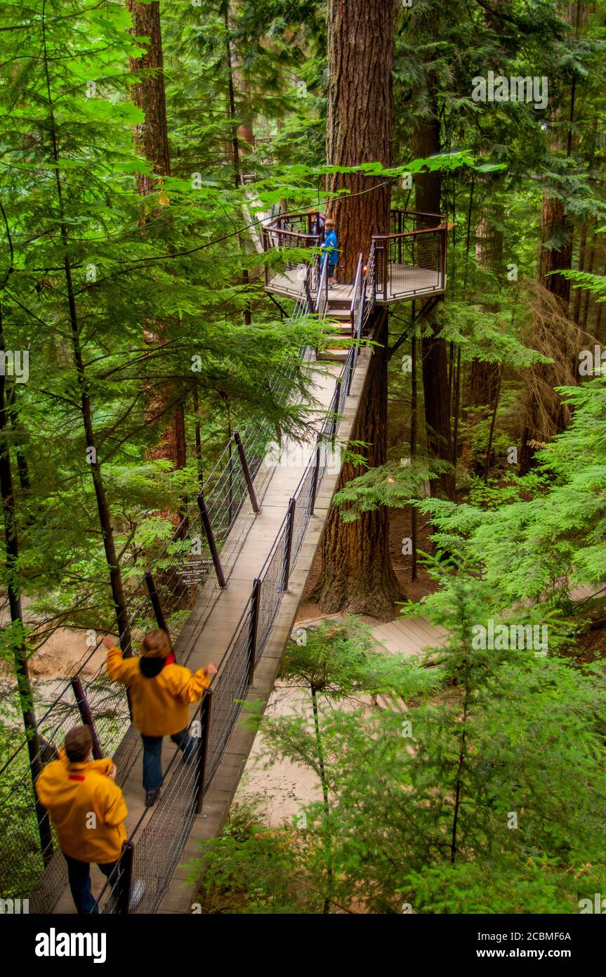 Capilano Suspension Bridge Tree Top Adventure