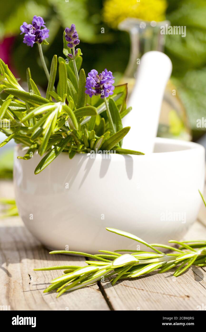 Closeup shot of purple lavender with mortar and pestle - beauty treatment concept Stock Photo ...