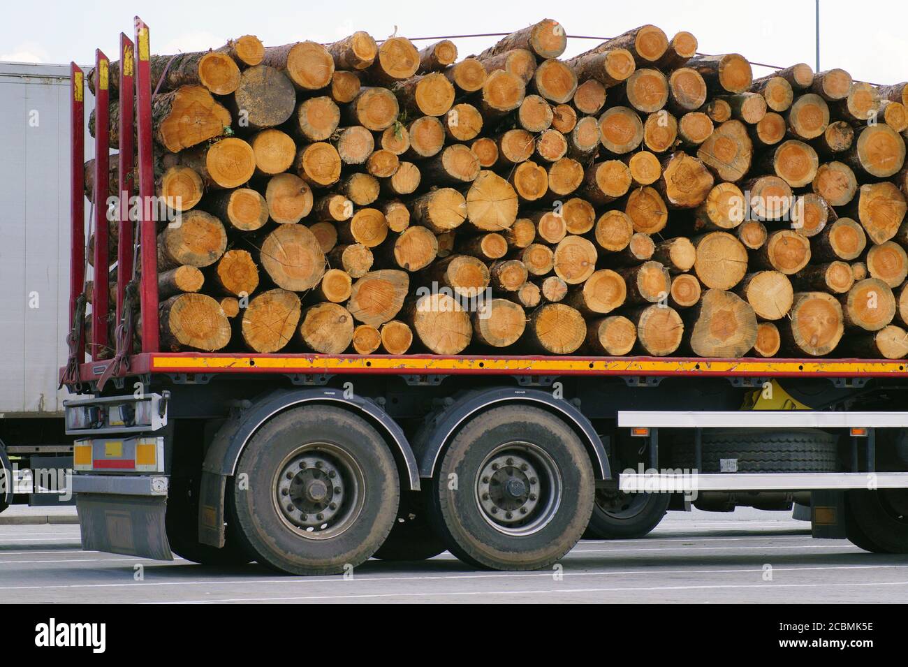 Timber transport. A truck semi-trailer filled with felled tree trunks ...