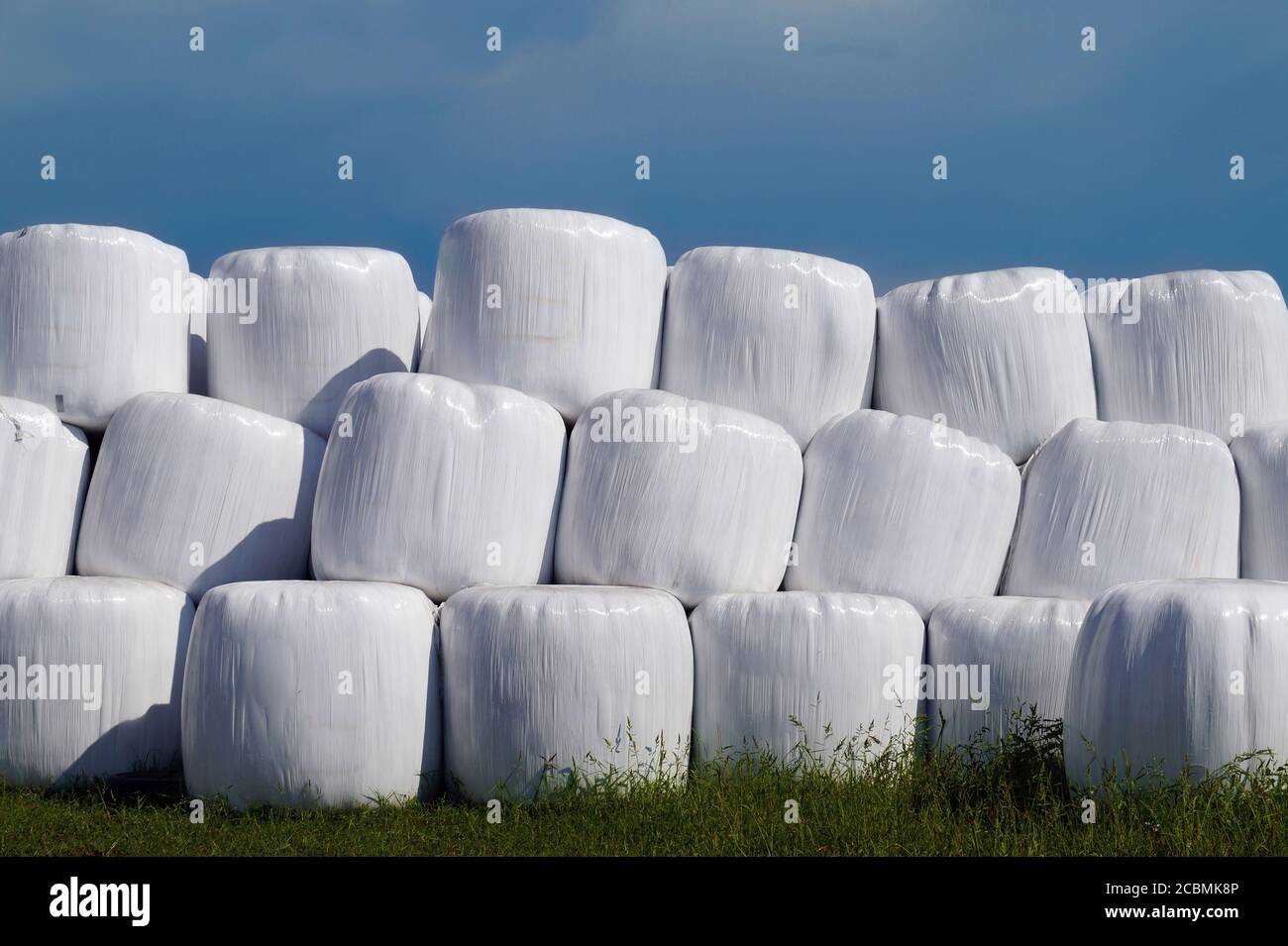 Haylage preparation of animal feed. Silage made from grass which has ...