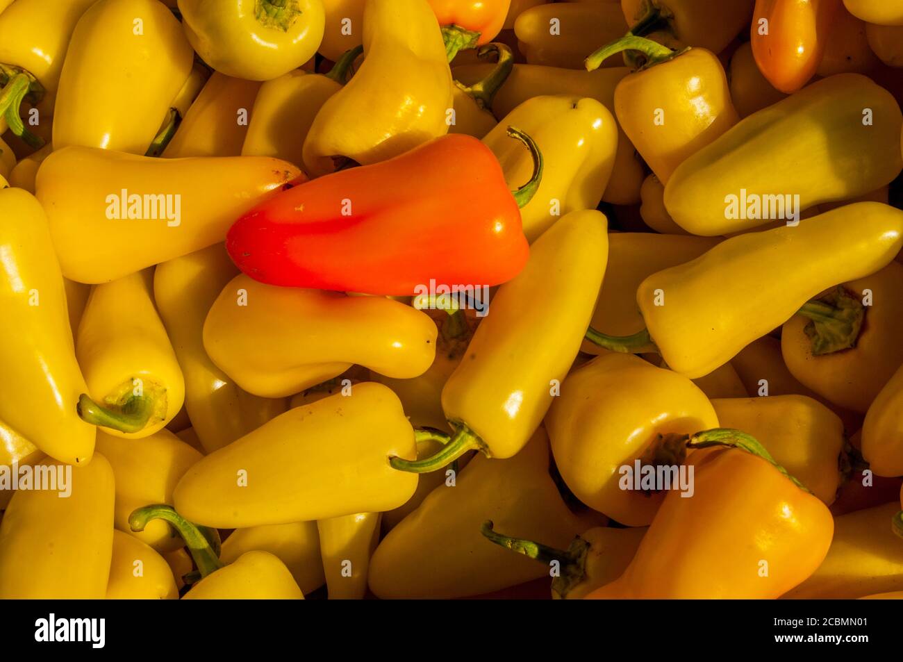 Santa Fe chili peppers for sale at the Farmer Stock Photo - Alamy