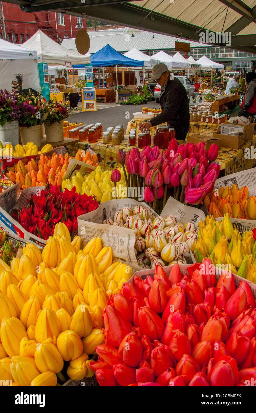 Tulip flowers for sale at the farmers market in Bellingham in Whatcam ...