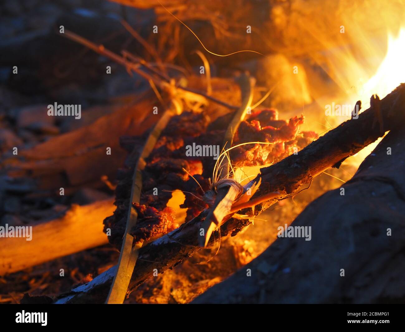 Closeup meat roasted on a bonfire Stock Photo - Alamy