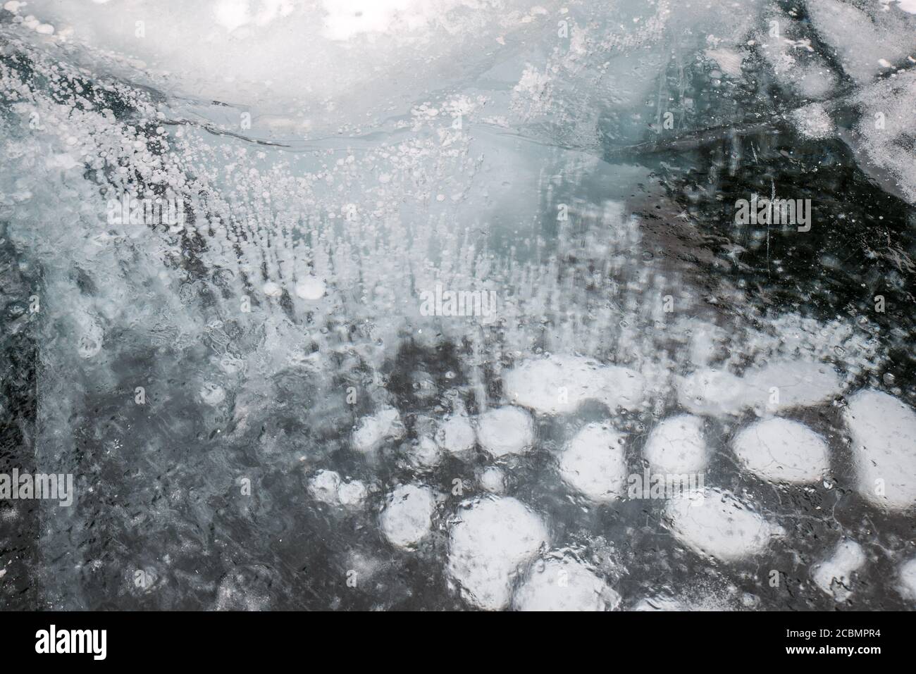 Bubbles of methane gaz frozen into clear ice on Lake Baikal, Russia ...