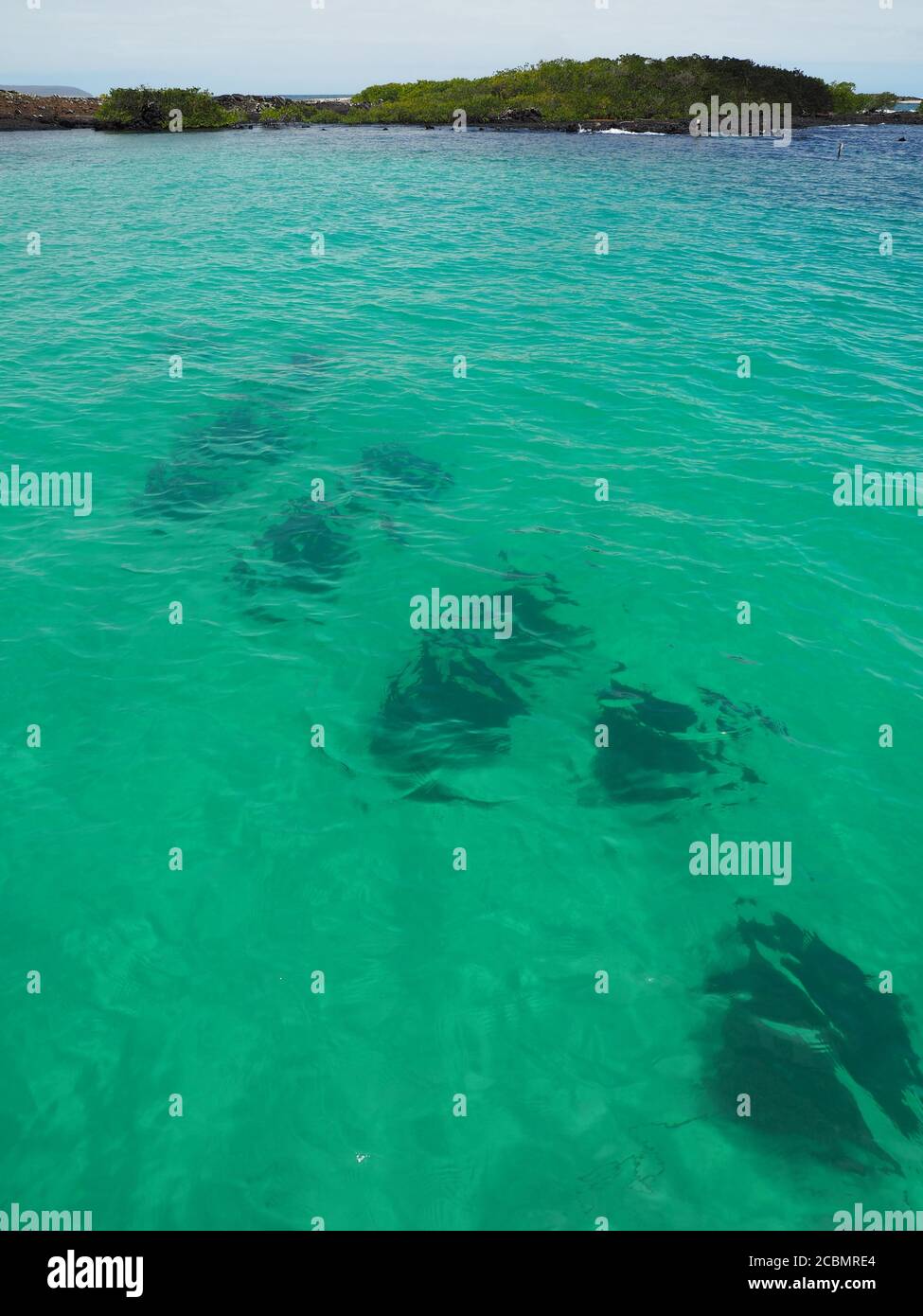 Clear turquoise sea water Stock Photo - Alamy
