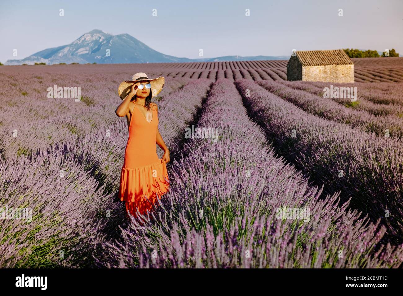 woman on vacation at the provence lavender fields, Provence, Lavender ...