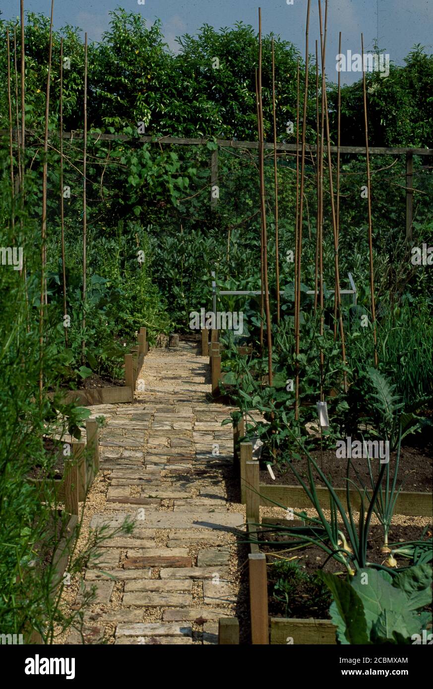 Brick raised beds hi-res stock photography and images - Alamy