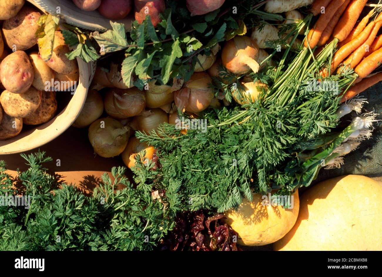 three pots of yellow sample paints Stock Photo - Alamy
