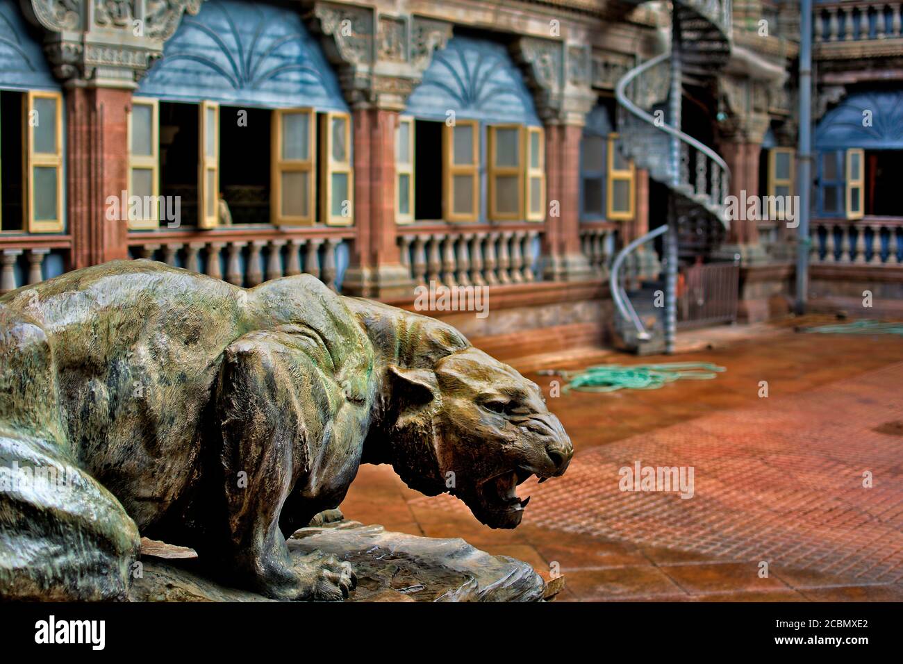 The tiger of mysore hi-res stock photography and images - Alamy