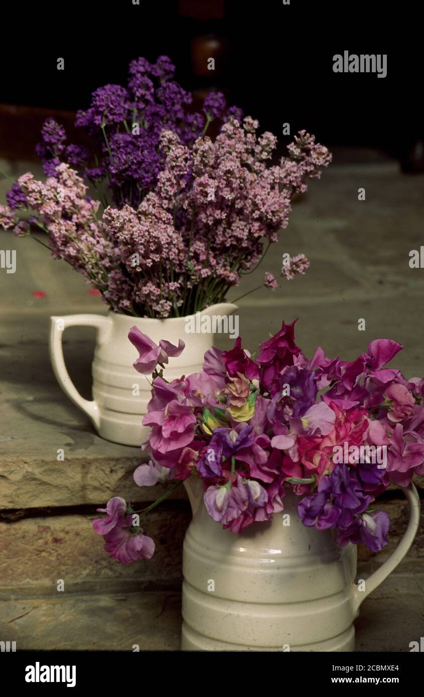 Cut flowers in white porcelaine jugs Stock Photo - Alamy