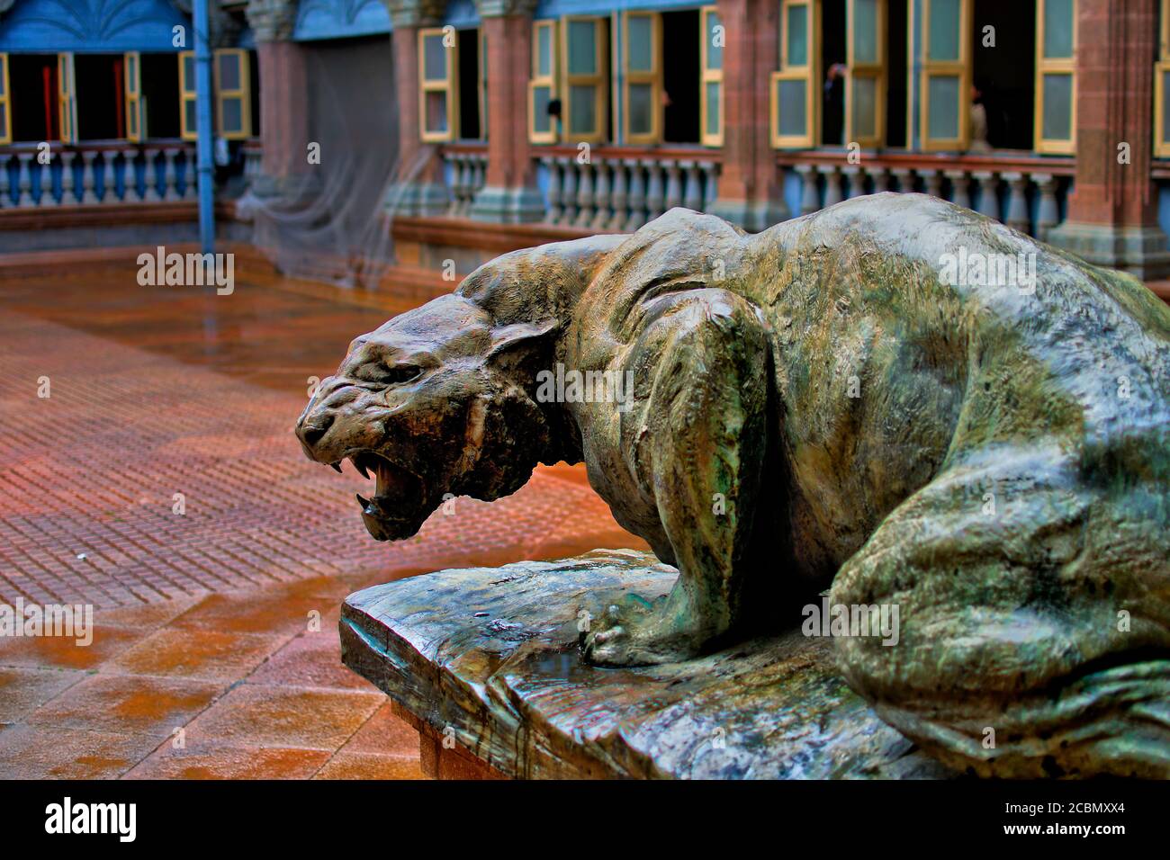The tiger of mysore hi-res stock photography and images - Alamy