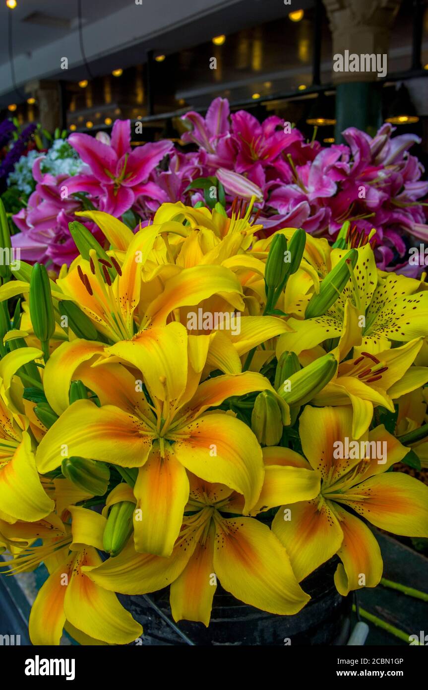 Lilies for sale at the Pike Place Market in Seattle, Washington State ...