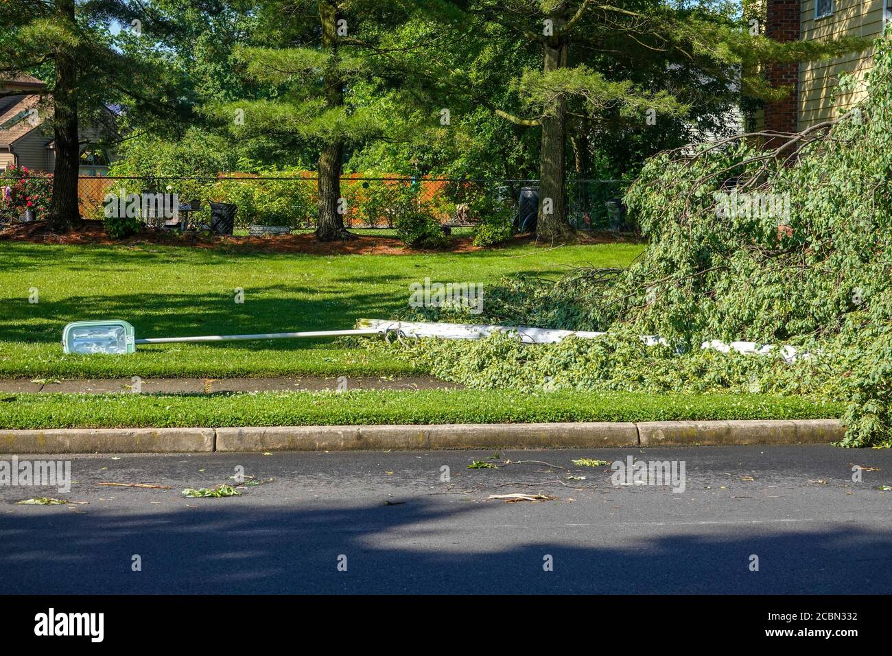 Knocked down tree street hi-res stock photography and images - Alamy