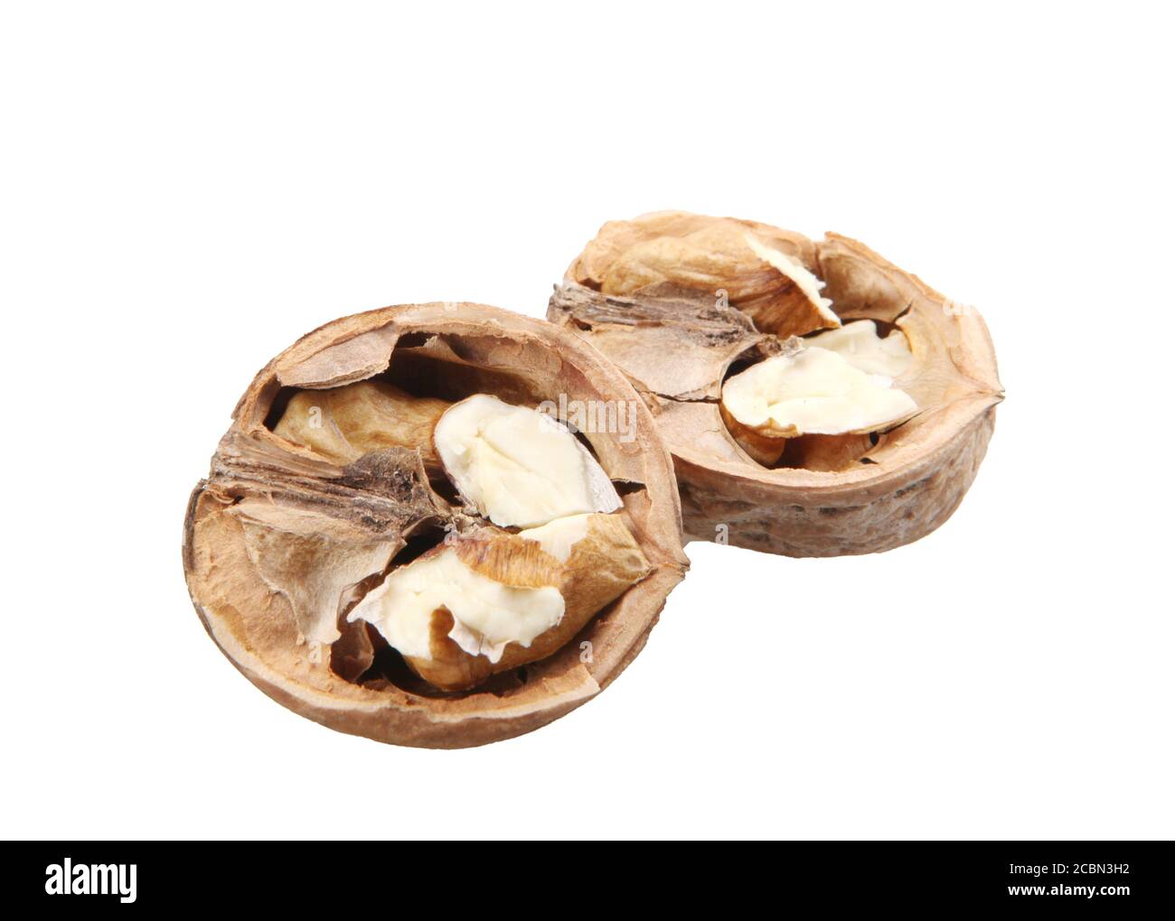 Closeup of opened walnut halves isolated on a white background Stock ...