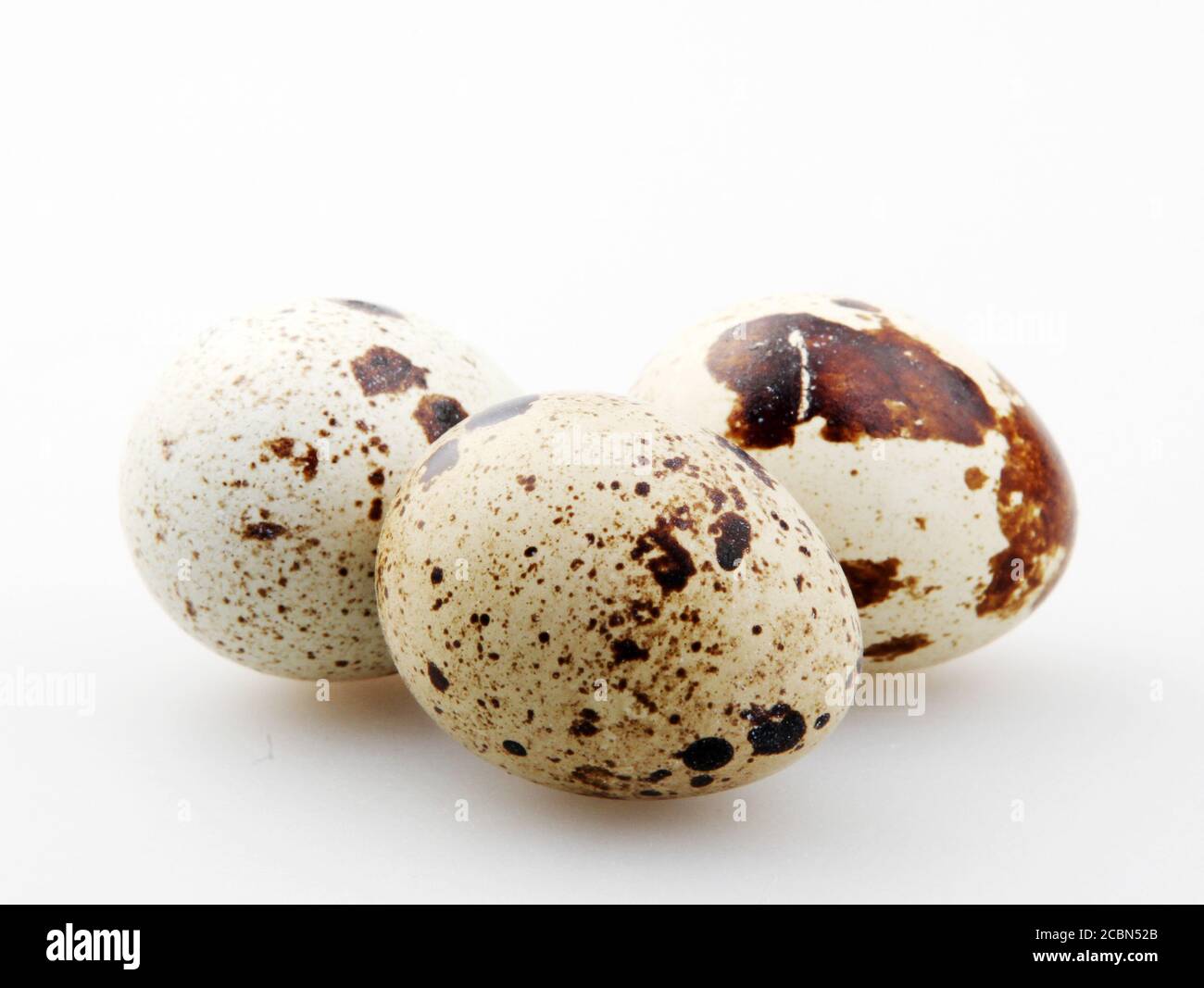 Closeup shot of the quail eggs with brown spots on the white surface ...