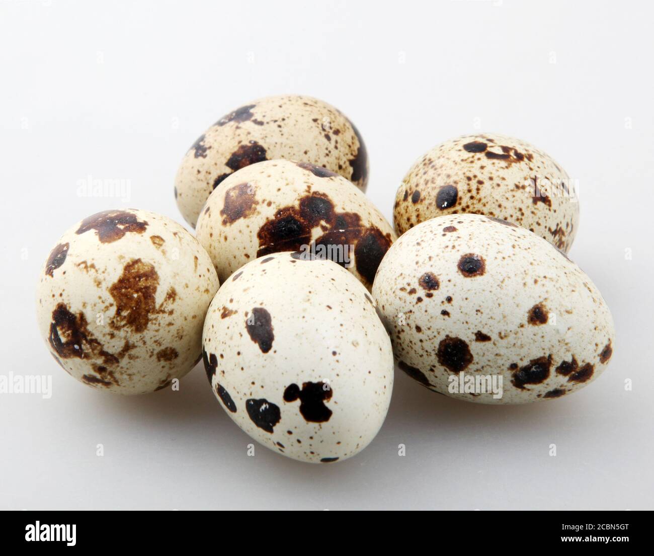 Closeup shot of the quail eggs with brown spots on the white surface ...