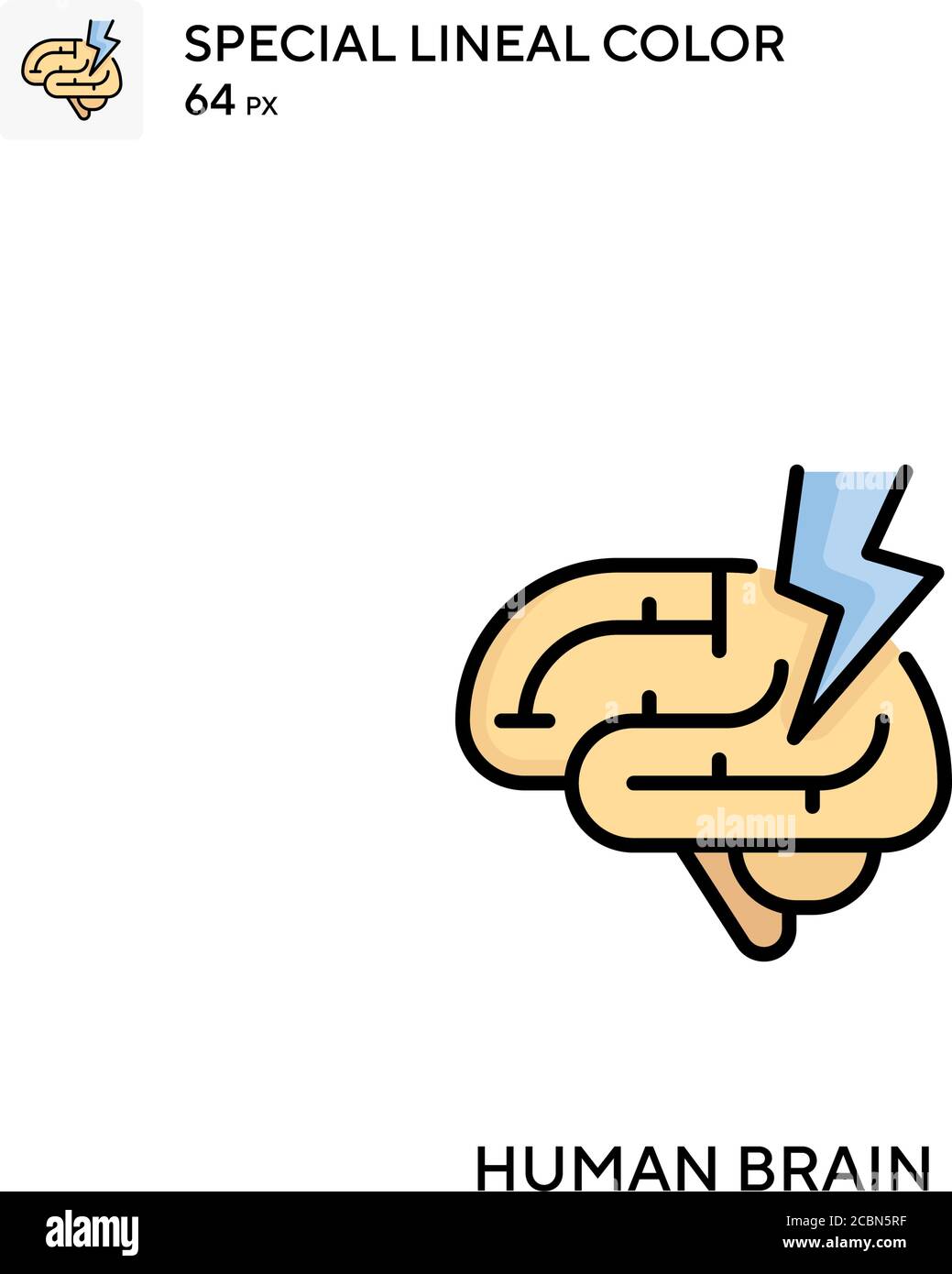 Human brain Special lineal color vector icon. Human brain icons for ...