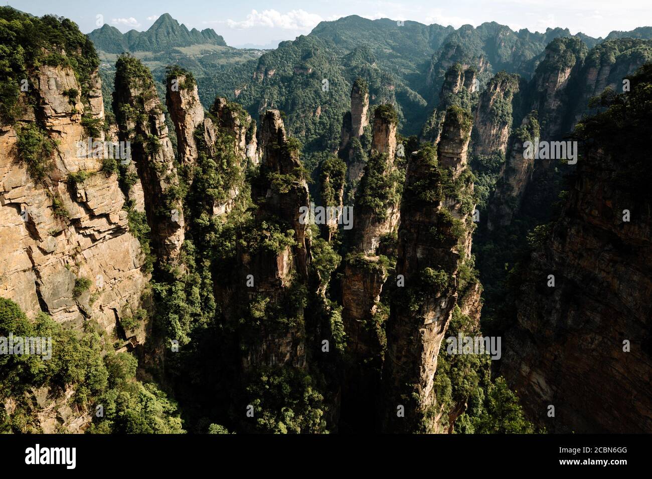 Breathtaking shot of high stones covered by trees with mountain ...