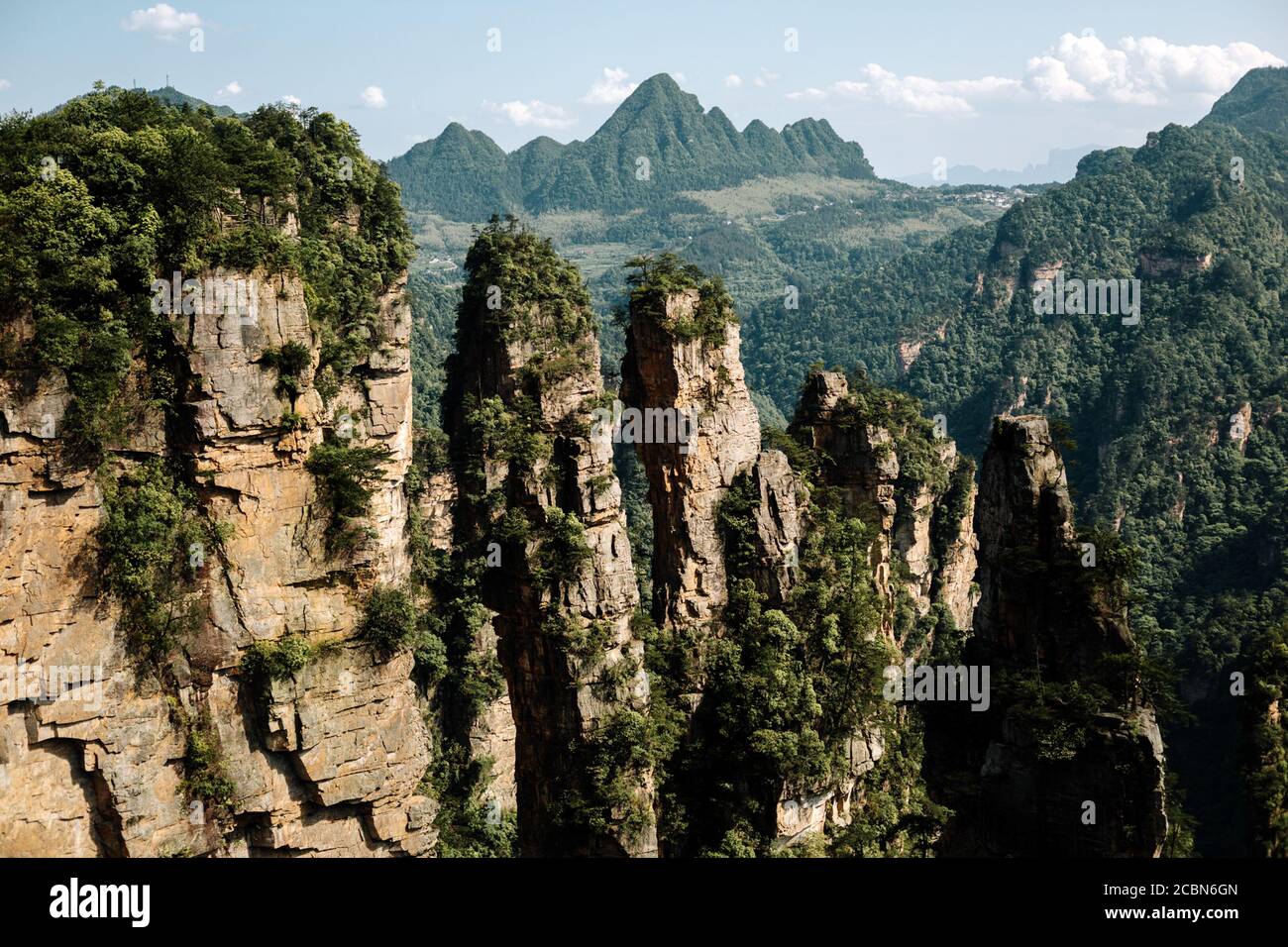 Breathtaking shot of high stones covered by trees with mountain ...