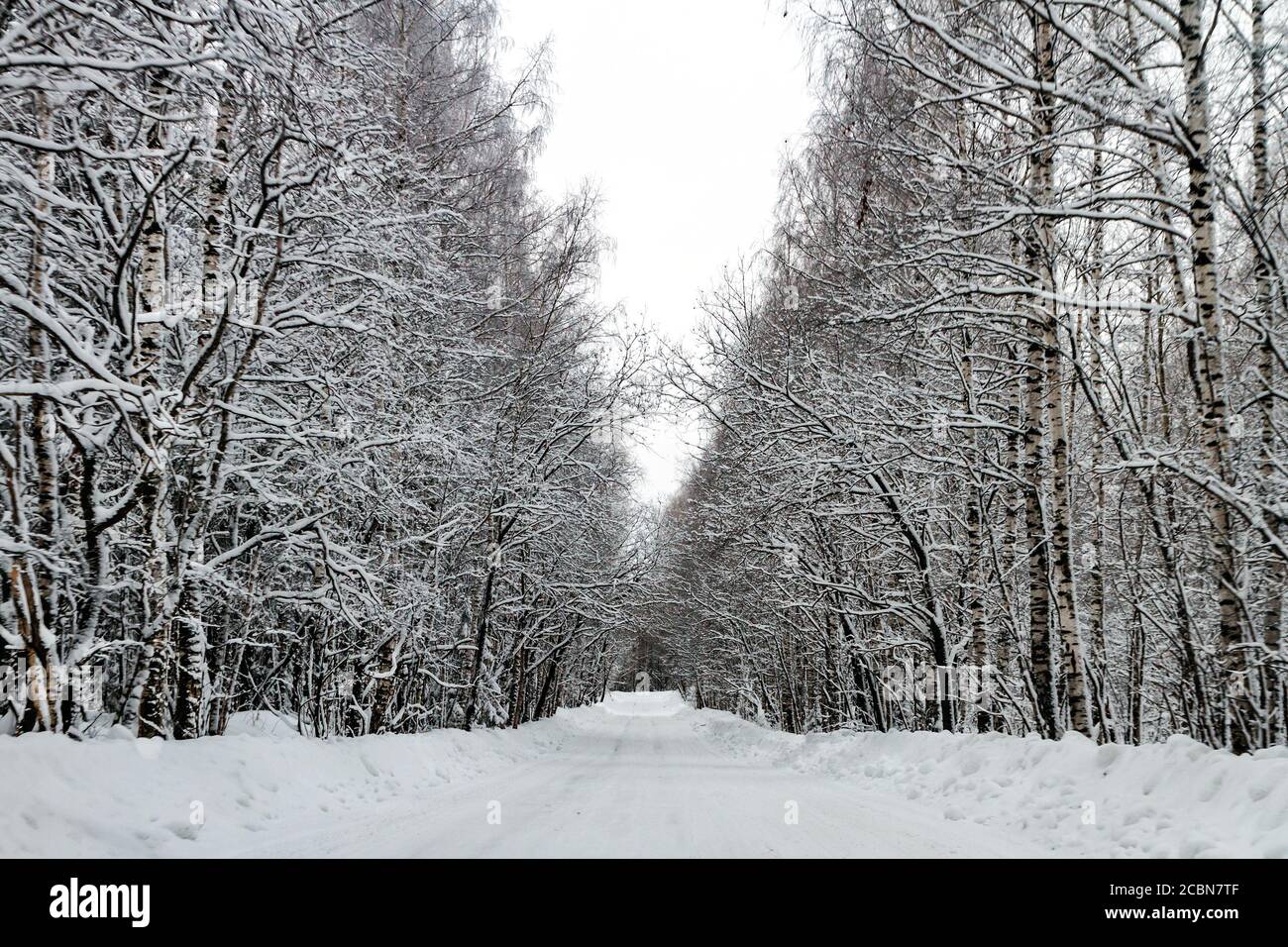 Christmas scene journey through snow hi-res stock photography and ...